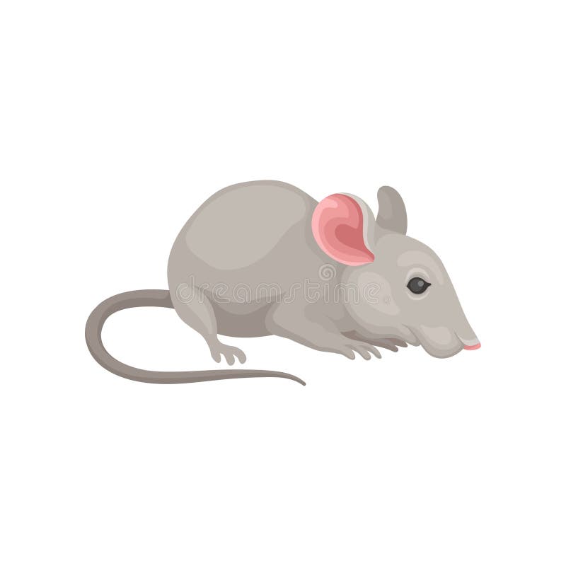 Flat Vector Icon of Small Cute Mouse, Side View. Rodent with Gray Coat ...