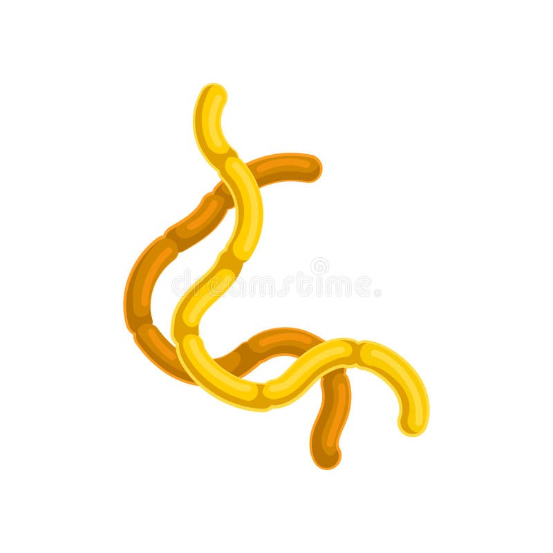 Yellow Rod Shaped Bacteria Stock Illustrations – 137 Yellow Rod Shaped ...