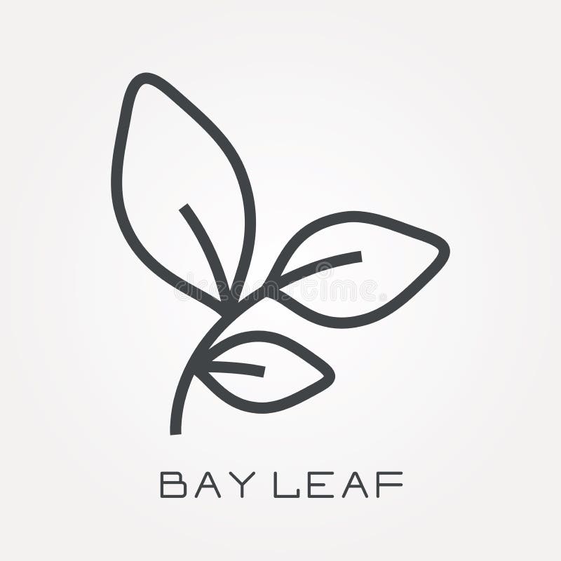 Flat Vector Icons with Bay Leaf Stock Vector - Illustration of isolated ...