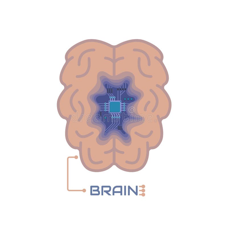 CPU - computer brain stock vector. Illustration of intellect - 31357883