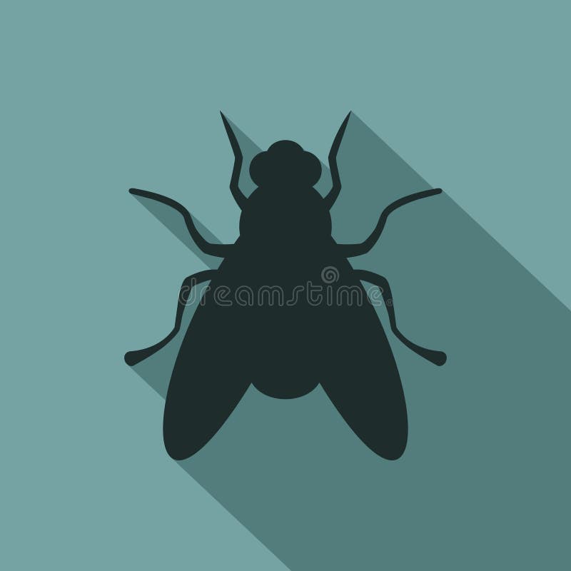 Insect fly icon stock vector. Illustration of pest, engraving - 326835828