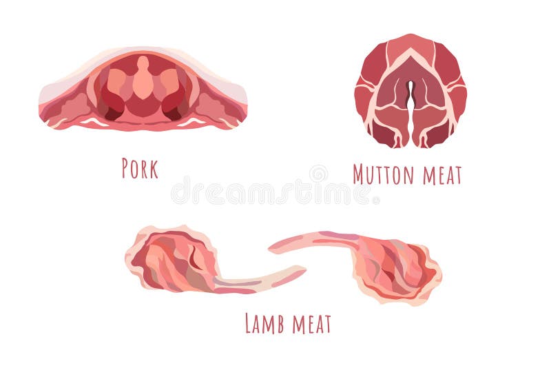 Flat Vector of a Raw Pork, Mutton and Lamb Meat Stock Vector ...