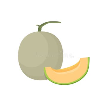 Rockmelons Fruit Stock Illustrations – 1 Rockmelons Fruit Stock ...