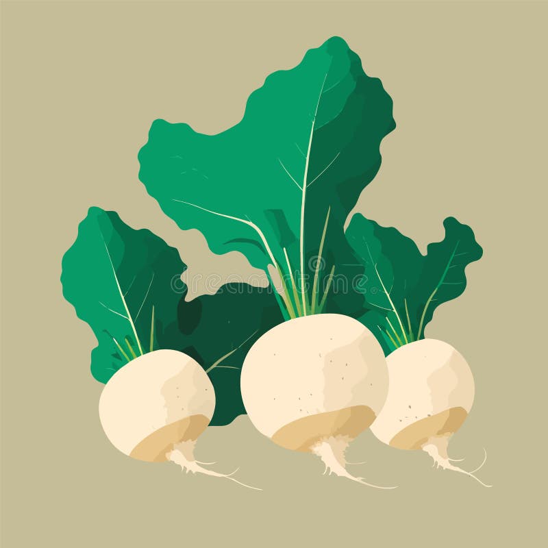 Turnip Logo Stock Illustrations – 897 Turnip Logo Stock Illustrations ...