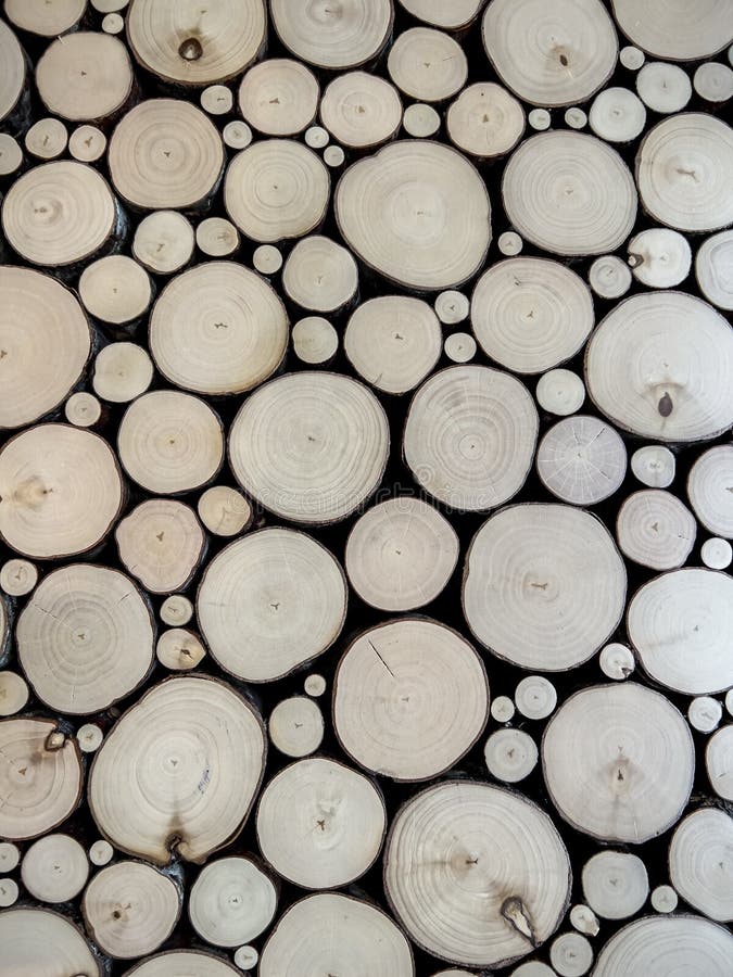Flat View of Textured, Cross Sections of Wood Logs Stock Photo - Image ...