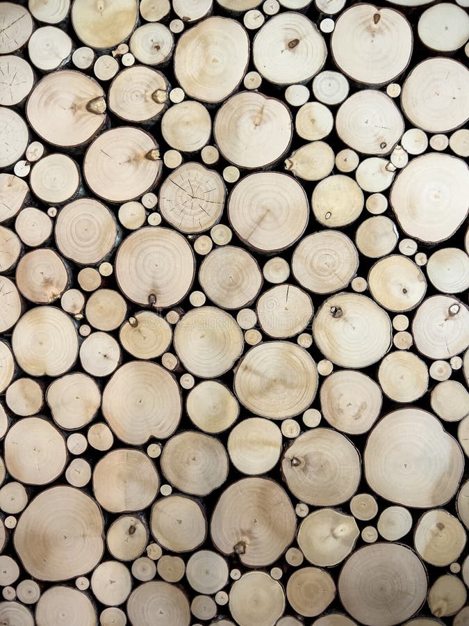 Flat View of Textured, Cross Sections of Wood Logs Stock Photo - Image ...