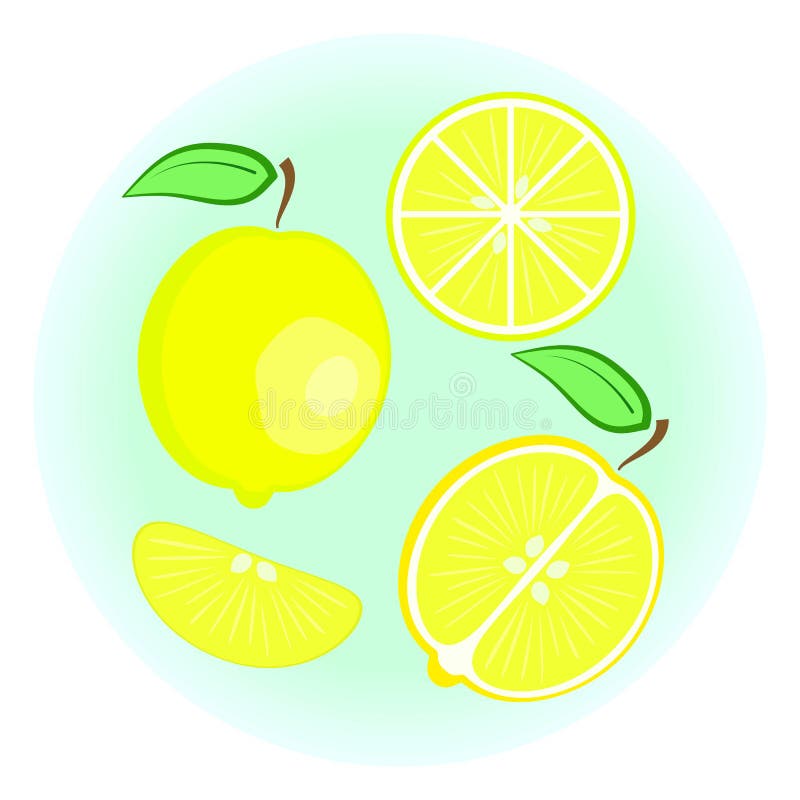 Lemon Split Stock Illustrations – 118 Lemon Split Stock Illustrations ...