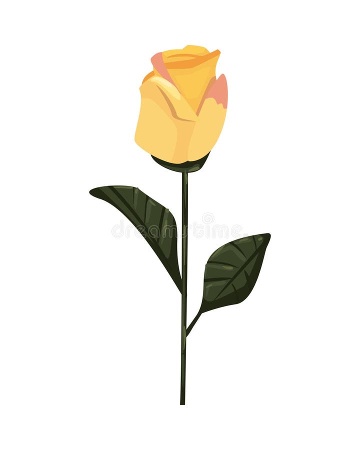 Flat yellow rose desing stock vector. Illustration of blossom - 273091828
