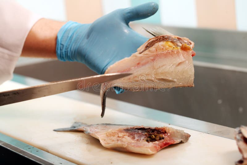 Flatfish getting sliced stock photo. Image of cooking - 33068856
