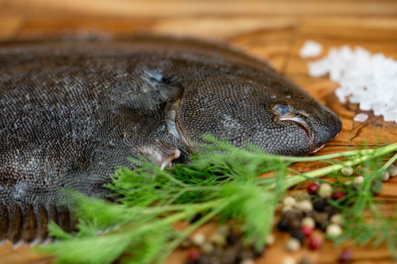 Flatfish solea solea stock image. Image of marine, lemon - 321777913