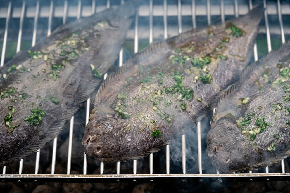 Flatfish solea solea stock image. Image of lemon, flounder - 321777941