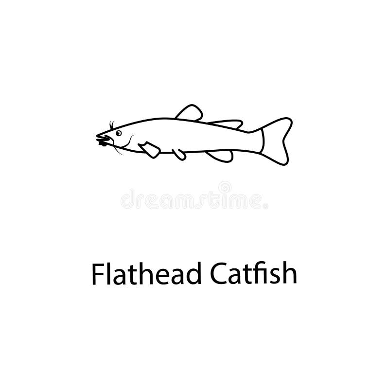 Flathead Catfish Neon Icon. Simple Thin Line, Outline Vector of Fish ...