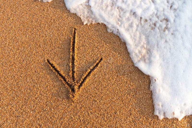 Flatlay an Arrow Drawn on the Sand Pointing To the Left Next To Sea ...