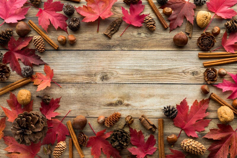 Flatlay Autumn Border Frame Including Red Maple Leaves, Nuts and ...
