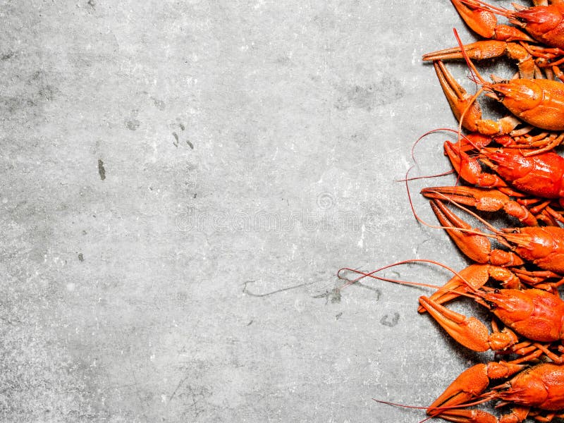 14,708 Crawfish Stock Photos - Free & Royalty-Free Stock Photos from ...