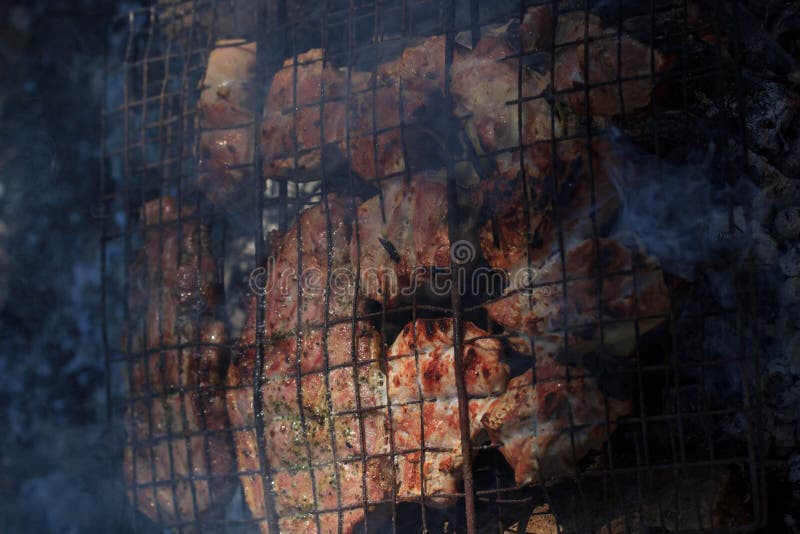 Flavorful Meat on the Grill with Smoke in Forest Stock Photo - Image of ...