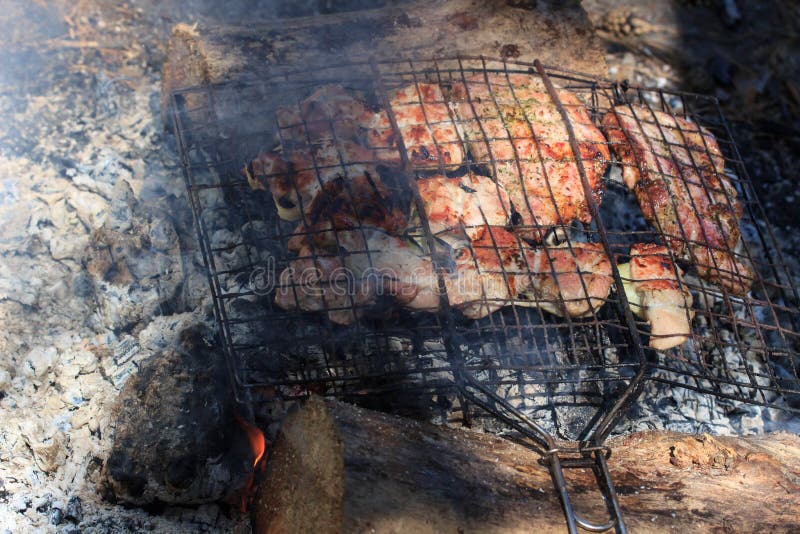 Flavorful Meat on the Grill with Smoke in Forest Stock Photo - Image of ...