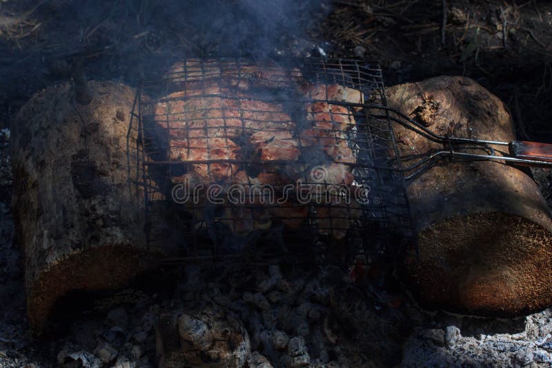 Flavorful Meat on the Grill with Smoke in Forest Stock Image - Image of ...