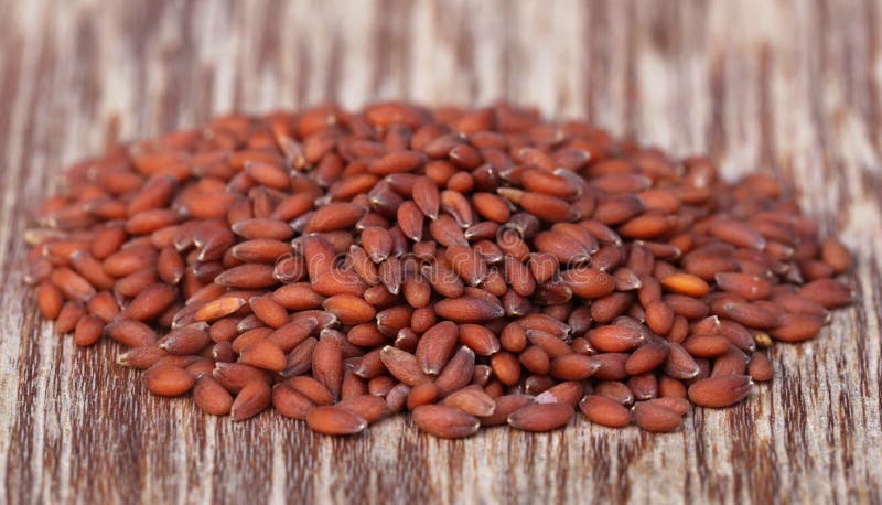 Flax or edible tisi seeds stock photo. Image of dietary - 51677190