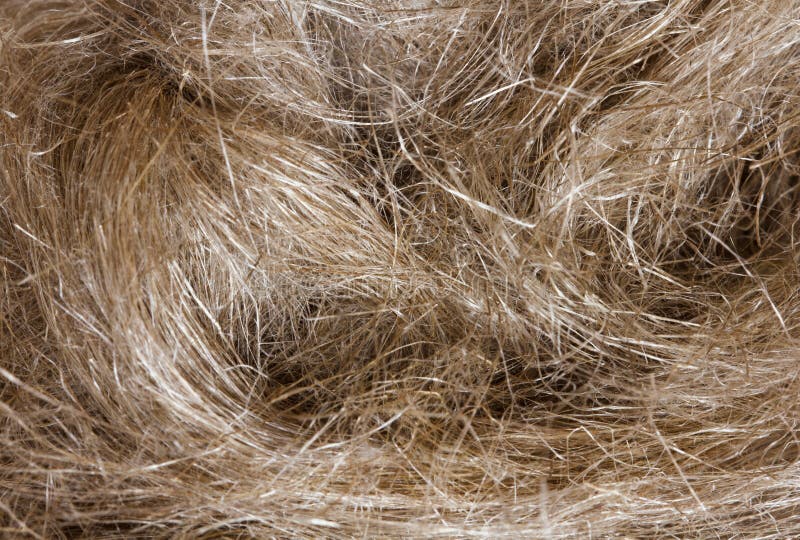Flax fiber material stock photo. Image of backdrop, fibers - 223354840