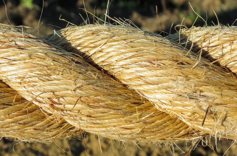 Flax Rope Roll Isolated on White Backgroung. Stock Photo - Image of ...