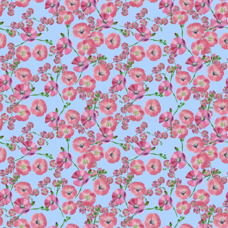 Flax. Seamless Pattern Texture of Flowers. Floral Background, Photo ...