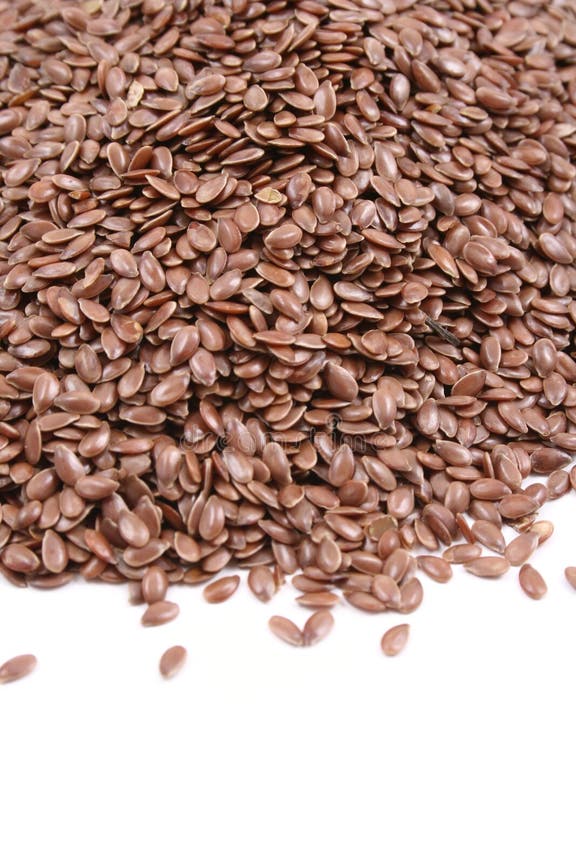 Flax seed stock photo. Image of bean, linseed, liver, beans - 2437332