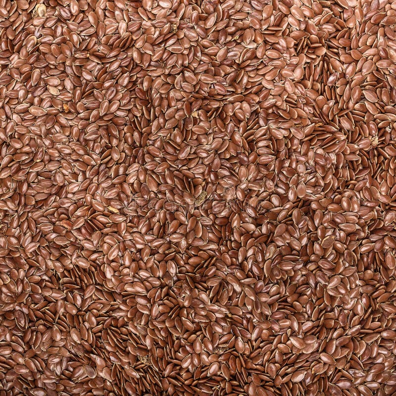 Flax seed stock image. Image of texture, vegetarian, flaxseed - 51510441