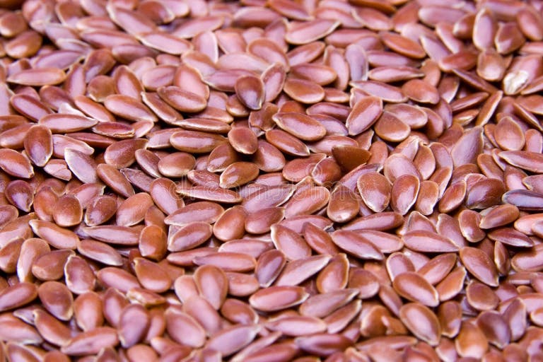 Flax Seeds stock photo. Image of edible, flax, abstract - 815240