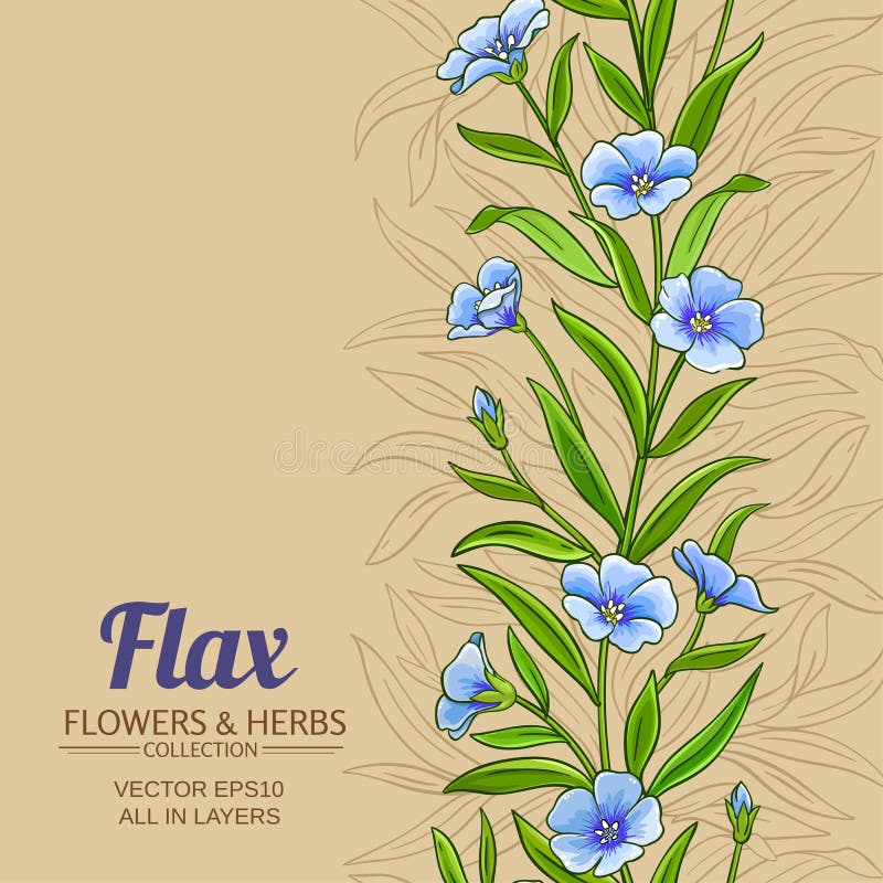 Flax vector frame stock vector. Illustration of green - 129425302