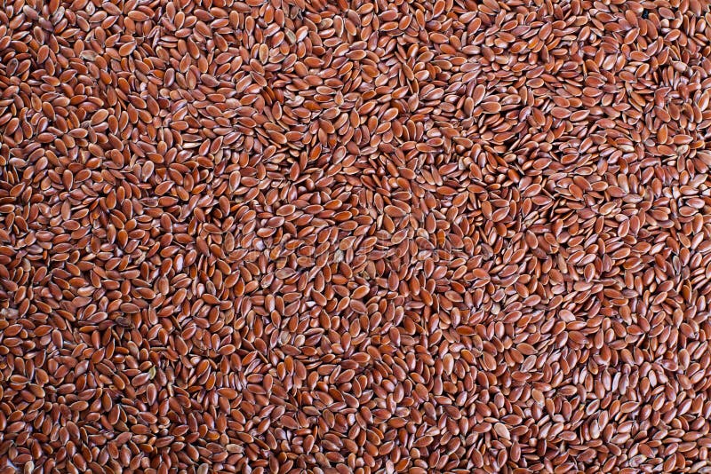 Flax stock image. Image of nutritious, nutrition, fiber - 66015197