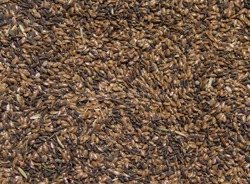 15,314 Flaxseed Stock Photos - Free & Royalty-Free Stock Photos from ...