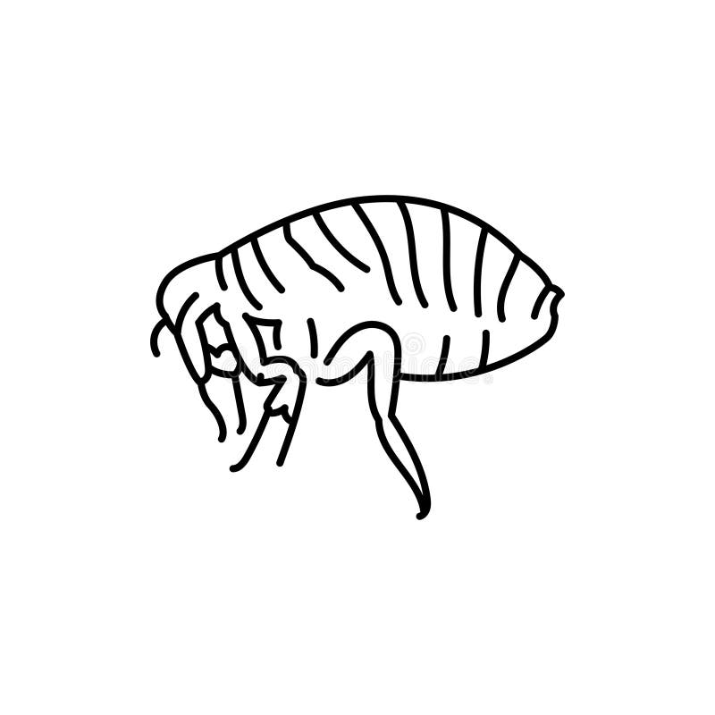 Flea Line Stock Illustrations – 1,705 Flea Line Stock Illustrations ...