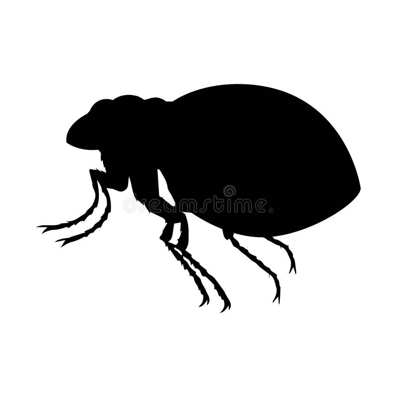 Silhouette Flea Stock Illustrations – 1,207 Silhouette Flea Stock ...