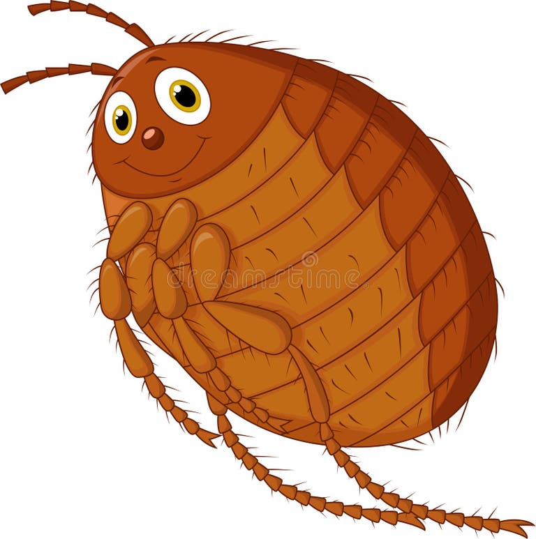 Ugly Insect Cartoon Stock Illustrations – 553 Ugly Insect Cartoon Stock ...