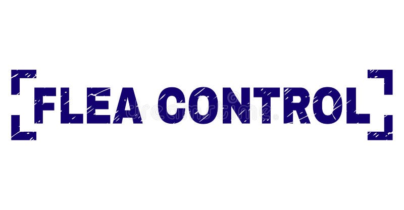 Flea Label Stock Illustrations – 205 Flea Label Stock Illustrations ...