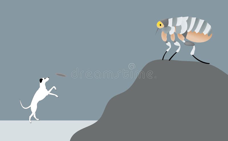 Angry Flea stock vector. Illustration of animal, cartoon - 13711346