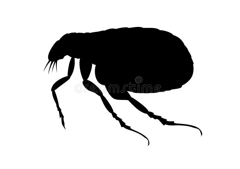 Flea Icon Vector From Veterinary Concept. Thin Line Illustration Of ...