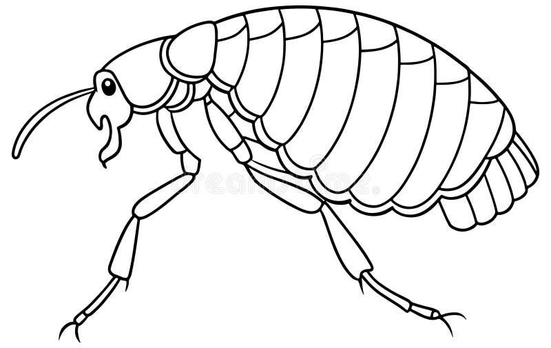 Flea Insect Activity for Kids To Color Stock Vector - Illustration of ...