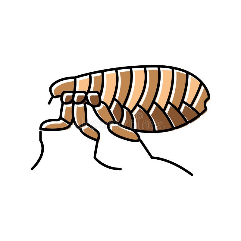Flea Insect Color Icon Vector Illustration Stock Vector - Illustration ...