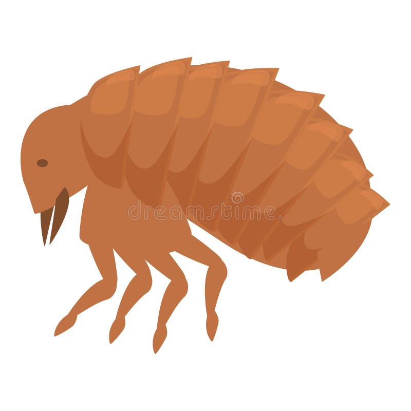 Flea Insect Walking Spreading Disease through Bite Stock Vector ...