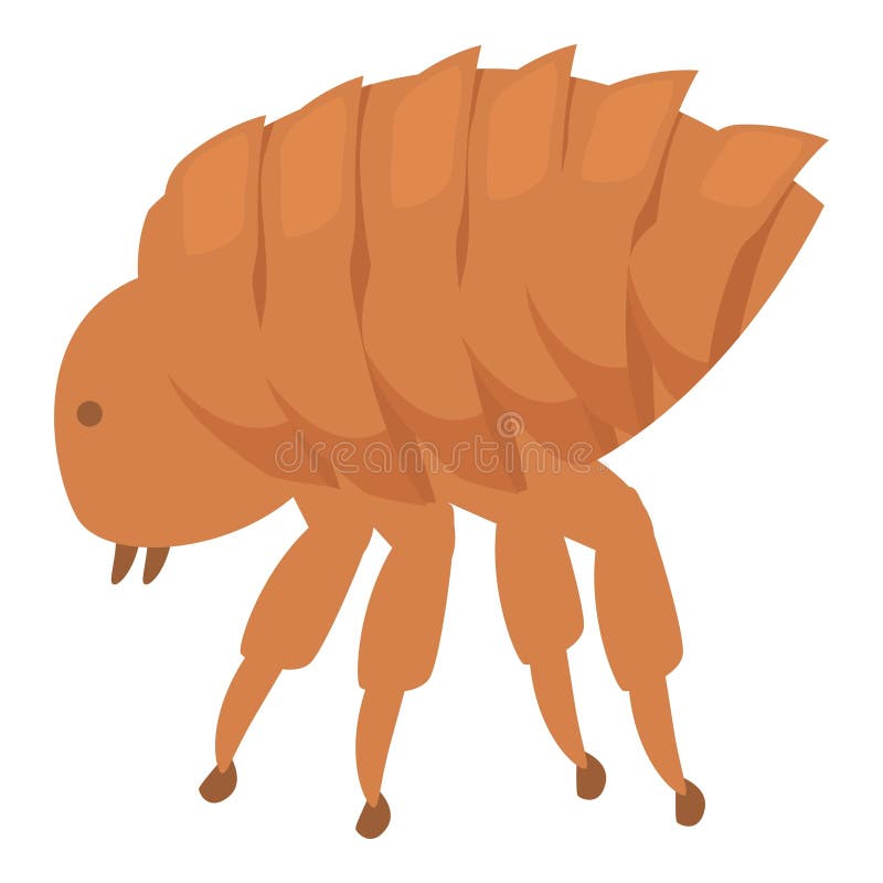 Flea Insect Walking Spreading Disease through Bite Stock Vector ...