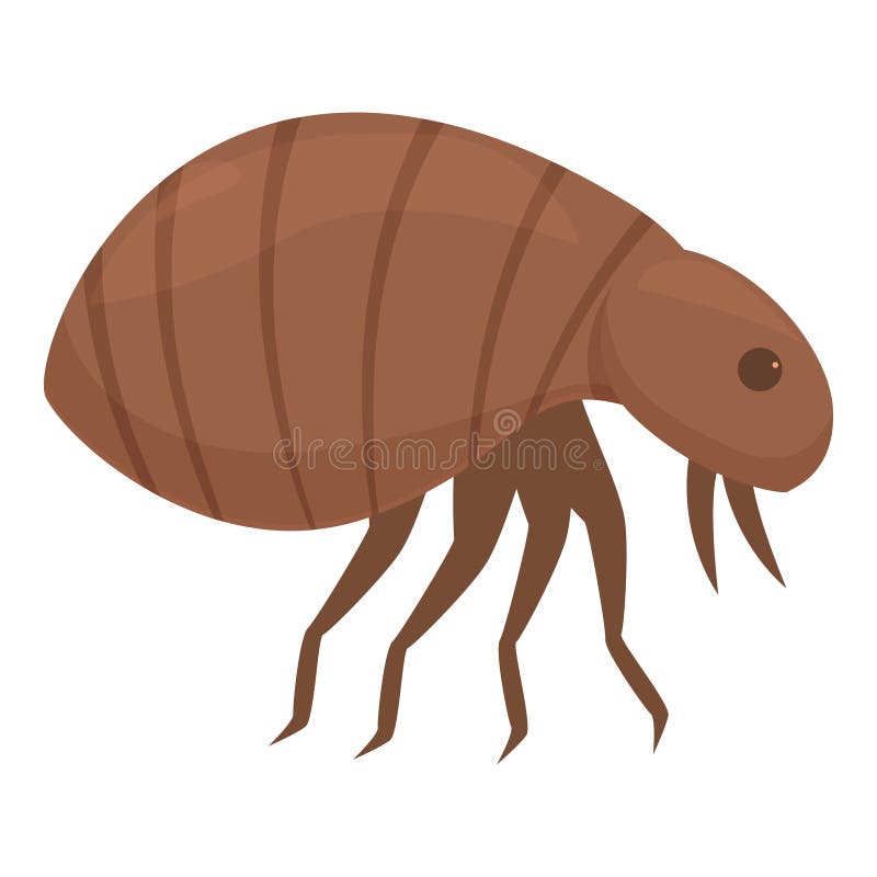 Flea Insect Walking Spreading Disease through Bite Stock Vector - Illustration of dermatitis ...