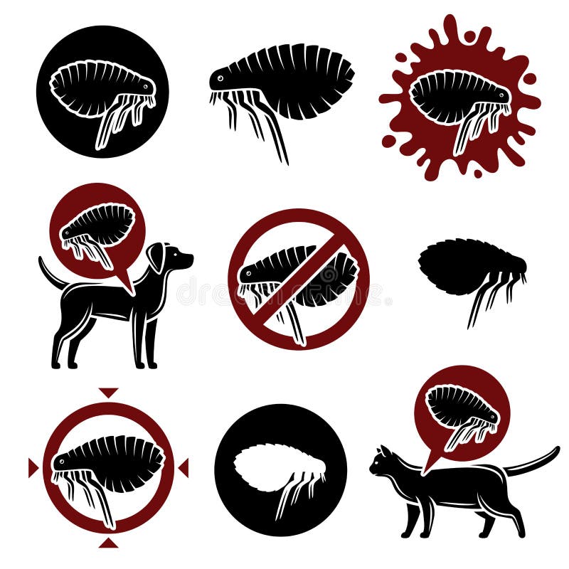 Flea set. Vector stock vector. Illustration of icon, plague - 71674802