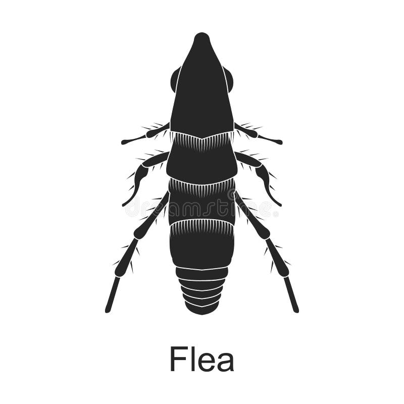 Flea Vector Icon.Cartoon Vector Icon Isolated on White Background Flea ... Flea Vector Icon.Cartoon Vector Icon Isolated on White Background Flea ...