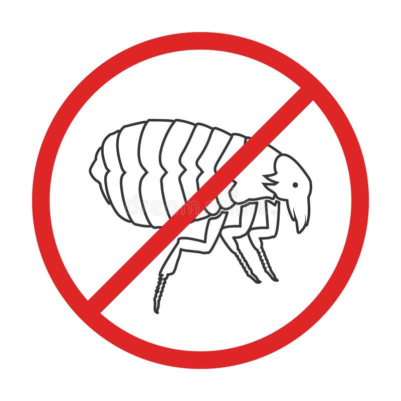 Flea Vector Icon.Line Vector Icon Isolated on White Background Flea ...