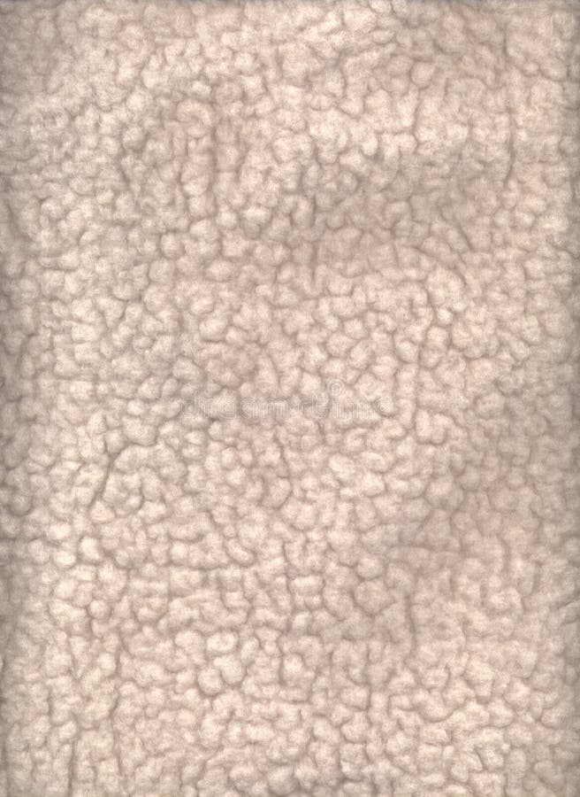 Organic Fleece Texture. Soft Fur Gray Carpet. Stock Image - Image of ...