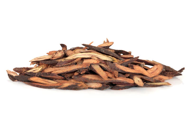 Fleece Flower Root stock photo. Image of healthy, flower - 32648304