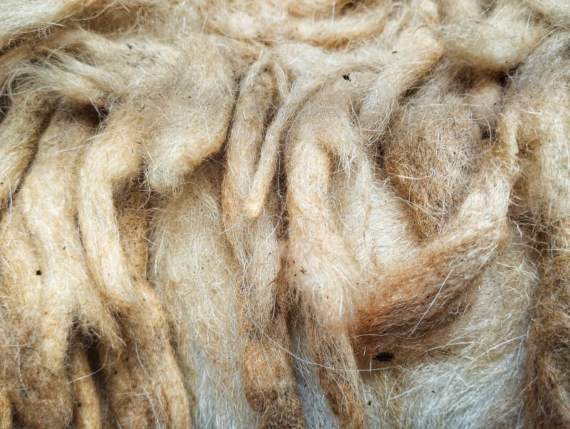 Fleece Texture Shoot on Close Up Stock Image - Image of blanket ...