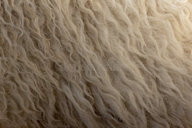 Close-up Exture of Stone Tile Wall. Stock Image - Image of exterior ...